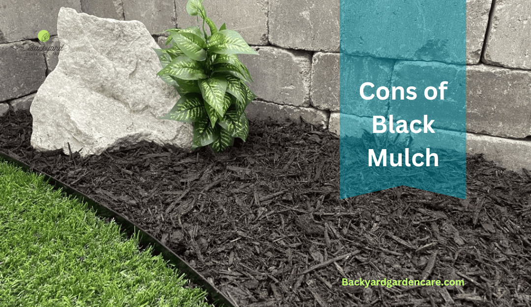 The Pros And Cons Of Black Mulch: A Comprehensive Guide To Know. - Backyard Garden Care
