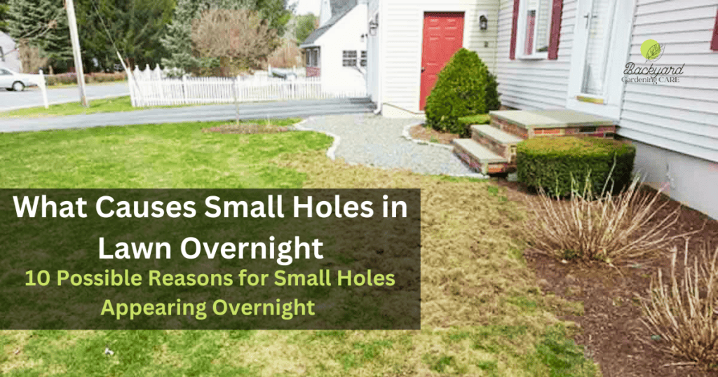 Destroy Annoying Briars: 17 Clever Ways to Kill Briars for Good, No ...