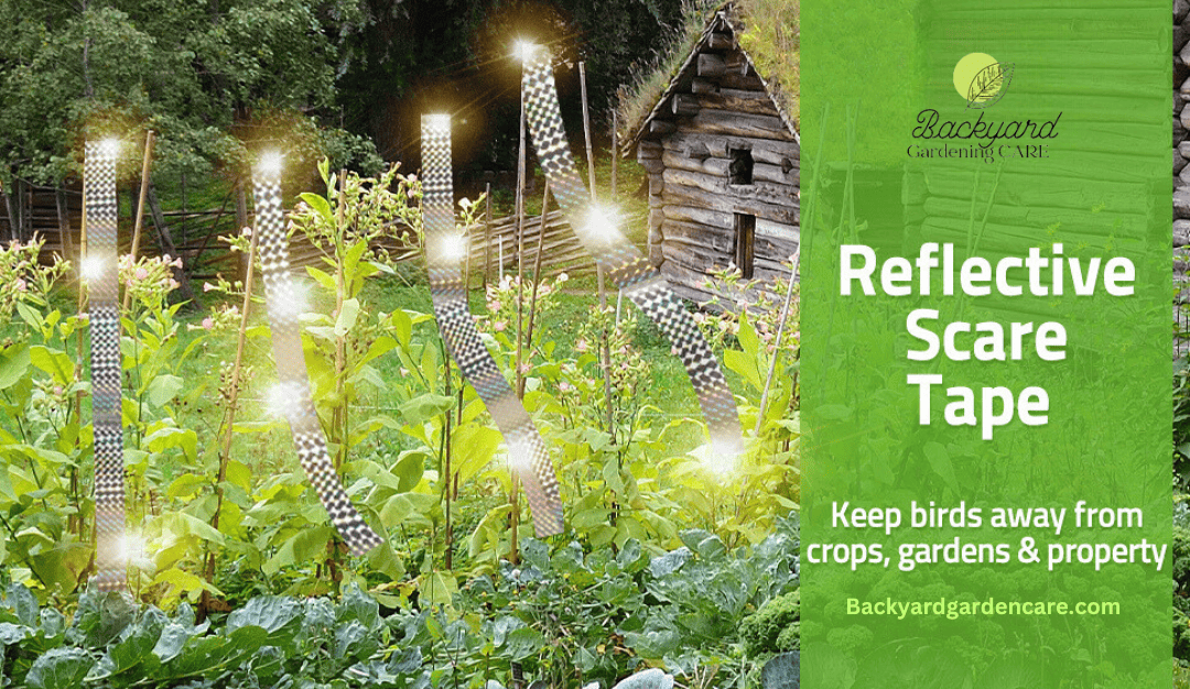 How to Keep Away Birds Eating Grass Seed: 9 Effective Ways - Backyard ...