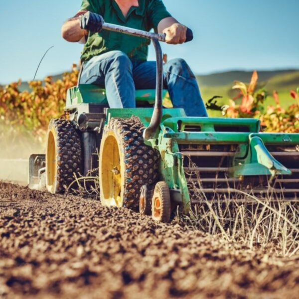 Destroy Annoying Briars: 17 Clever Ways to Kill Briars for Good, No ...