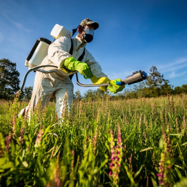 Destroy Annoying Briars: 17 Clever Ways to Kill Briars for Good, No ...